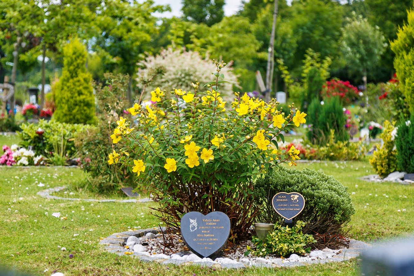 Green Funeral Services | Distinct Cremations