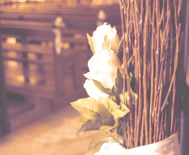 Compare Different Types of Funerals | Distinct Cremations