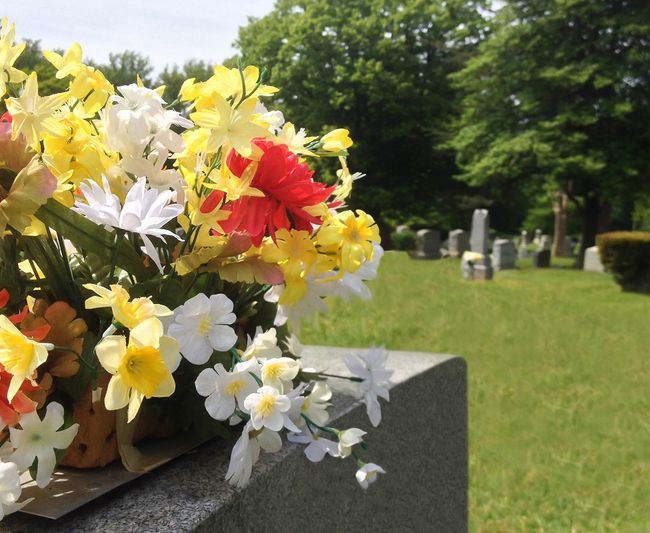 Compare Different Types of Funerals | Distinct Cremations